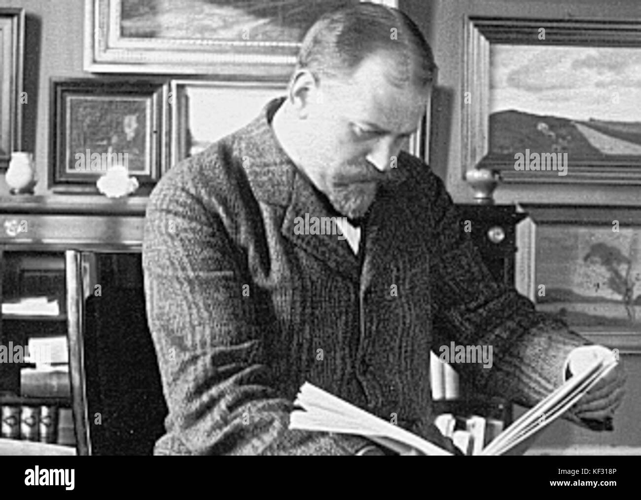 Wilhelm Hansen at Ordrupgaard cropped Stock Photo - Alamy