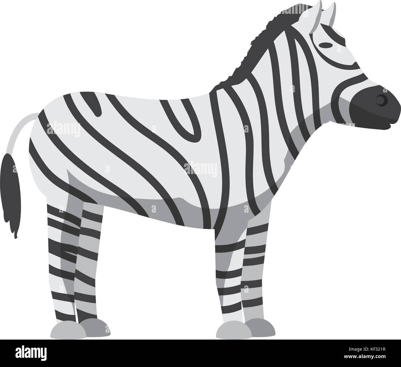 colorful zebra over white background vector illustration Stock Vector ...