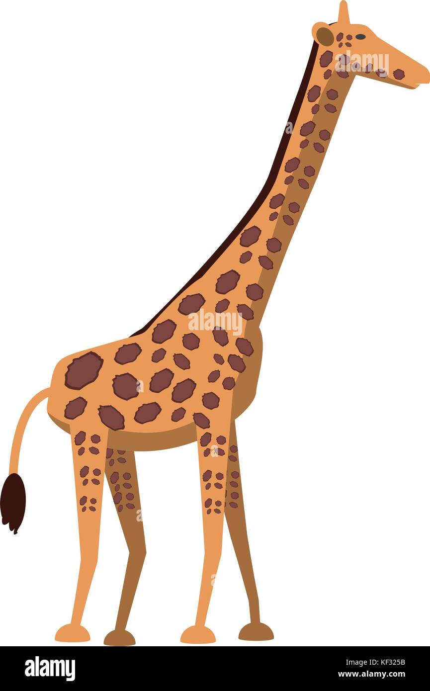 colorful giraffe over white background vector illustration Stock Vector ...
