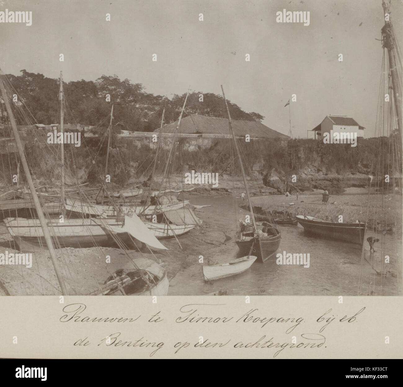 UvA Artis 300.040 Siboga prauwen in de haven van Timor Koepang (Kupang ...