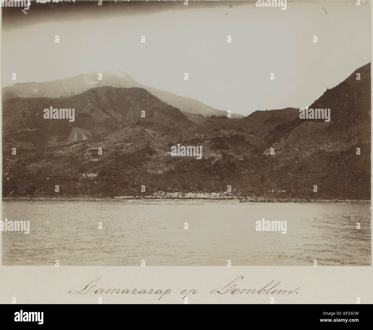 UvA Artis 300.044 Siboga Lamararap op het eiland Lomblem (Lomblen Stock ...