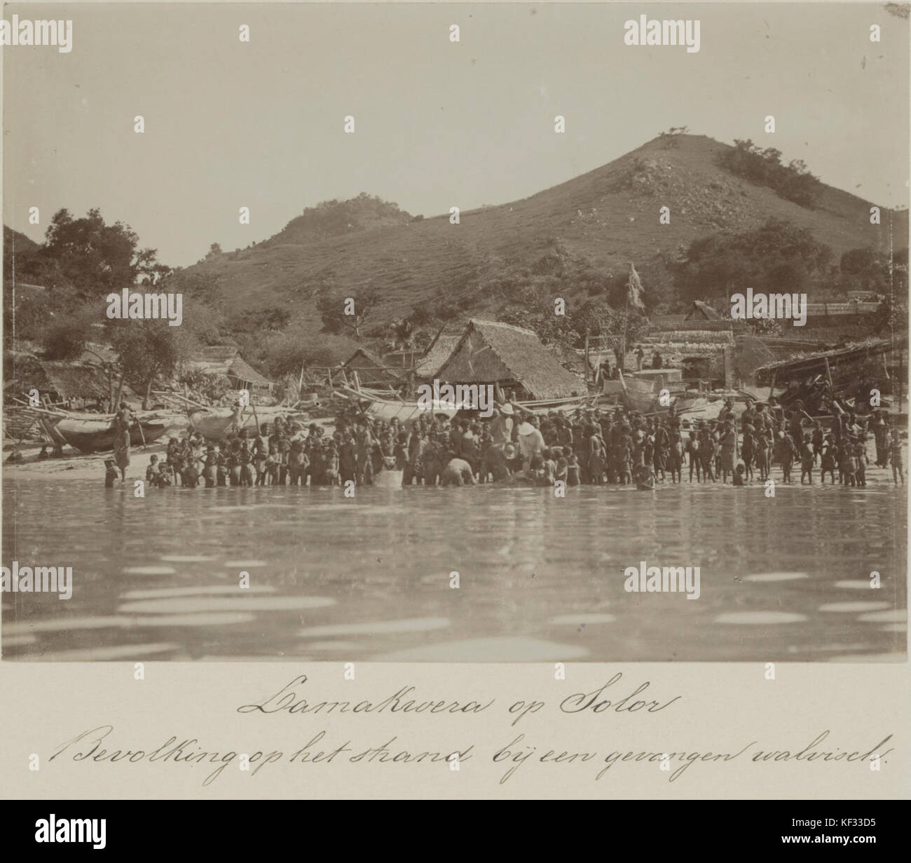 UvA Artis 300.048 Siboga Lamakera op Solor Stock Photo - Alamy