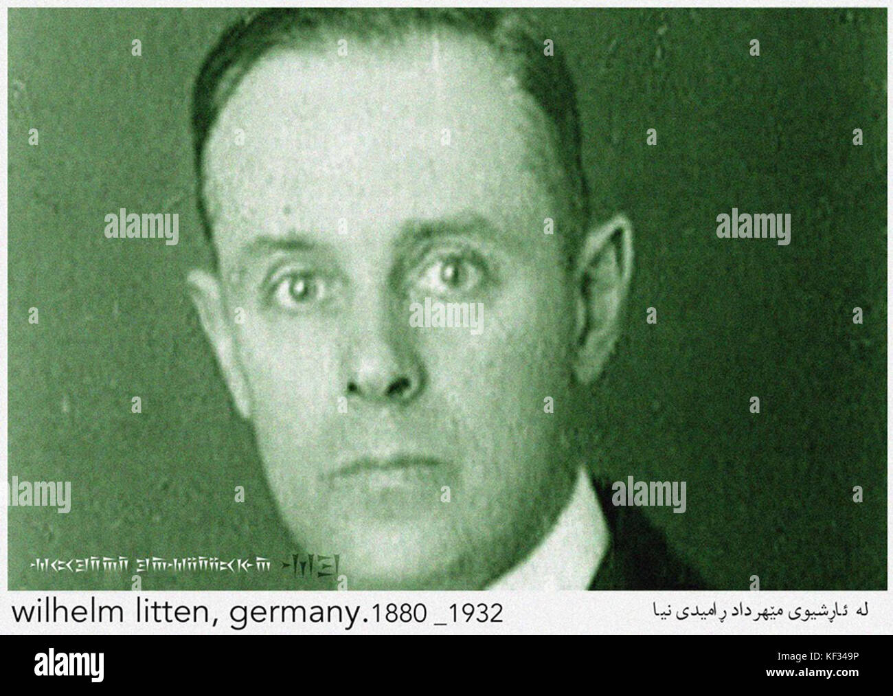 Litten hi-res stock photography and images - Alamy