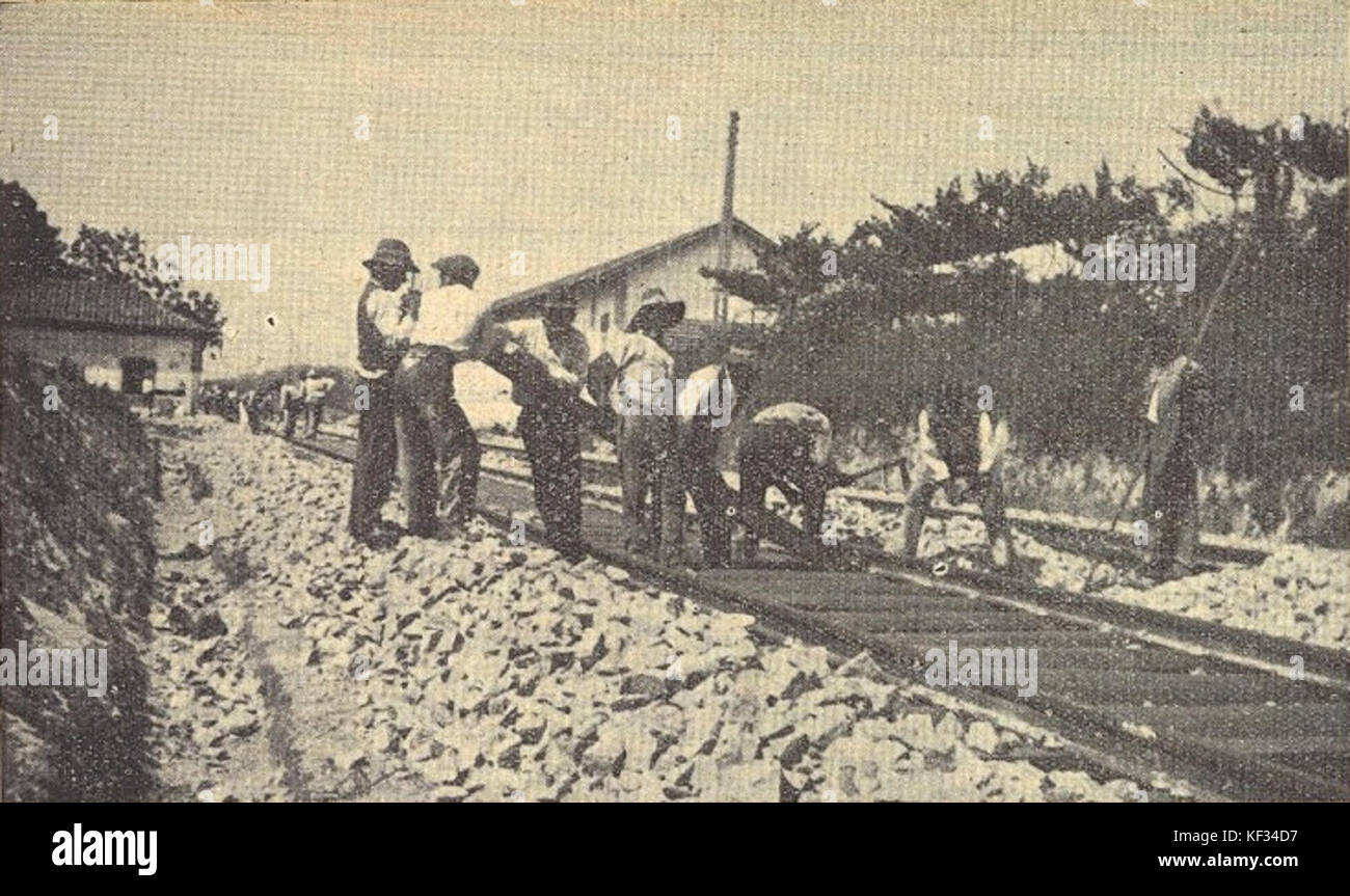 Track laying between Contumil and Ermesinde 4 Stock Photo - Alamy