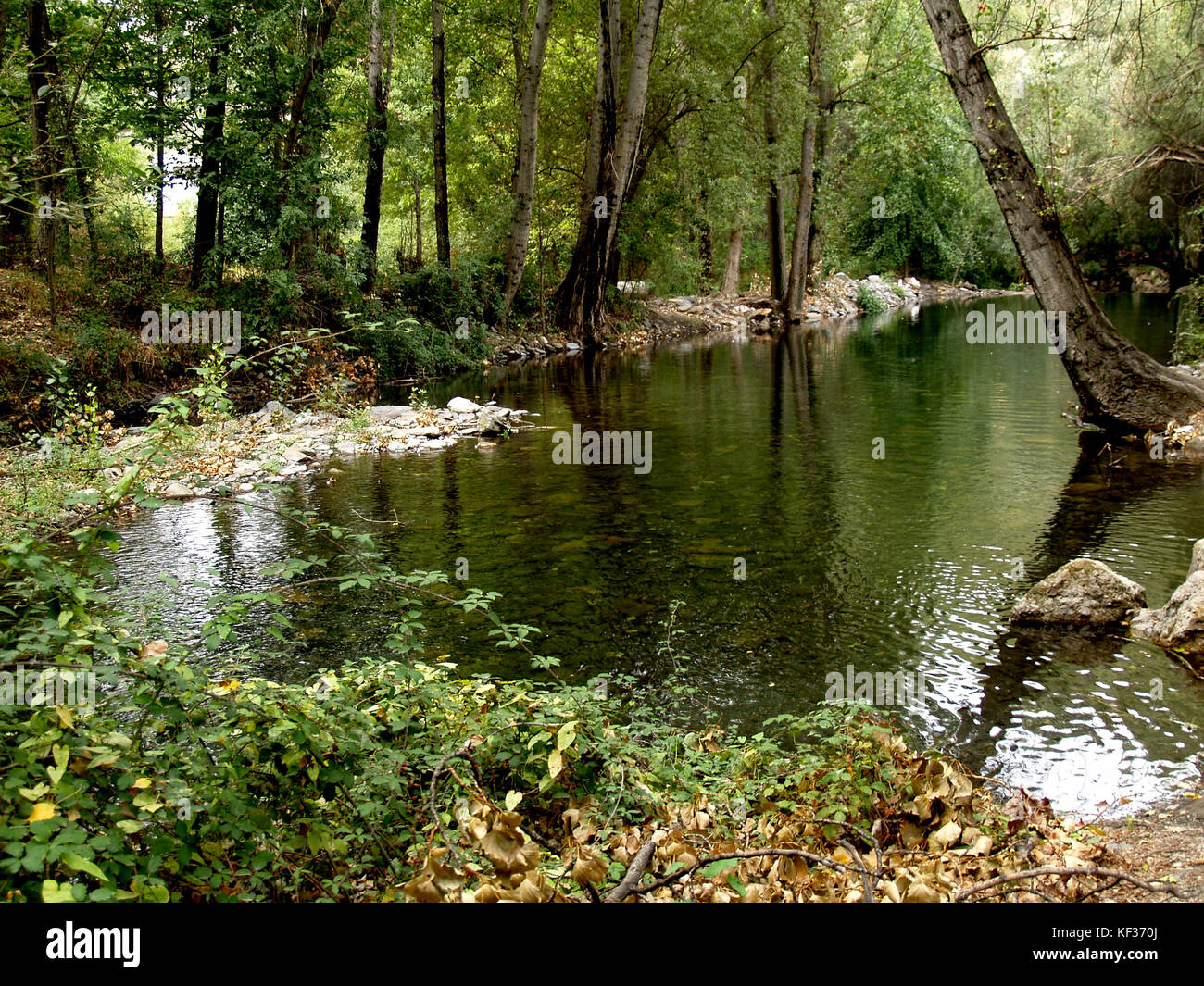 water spring and green environment Stock Photo - Alamy