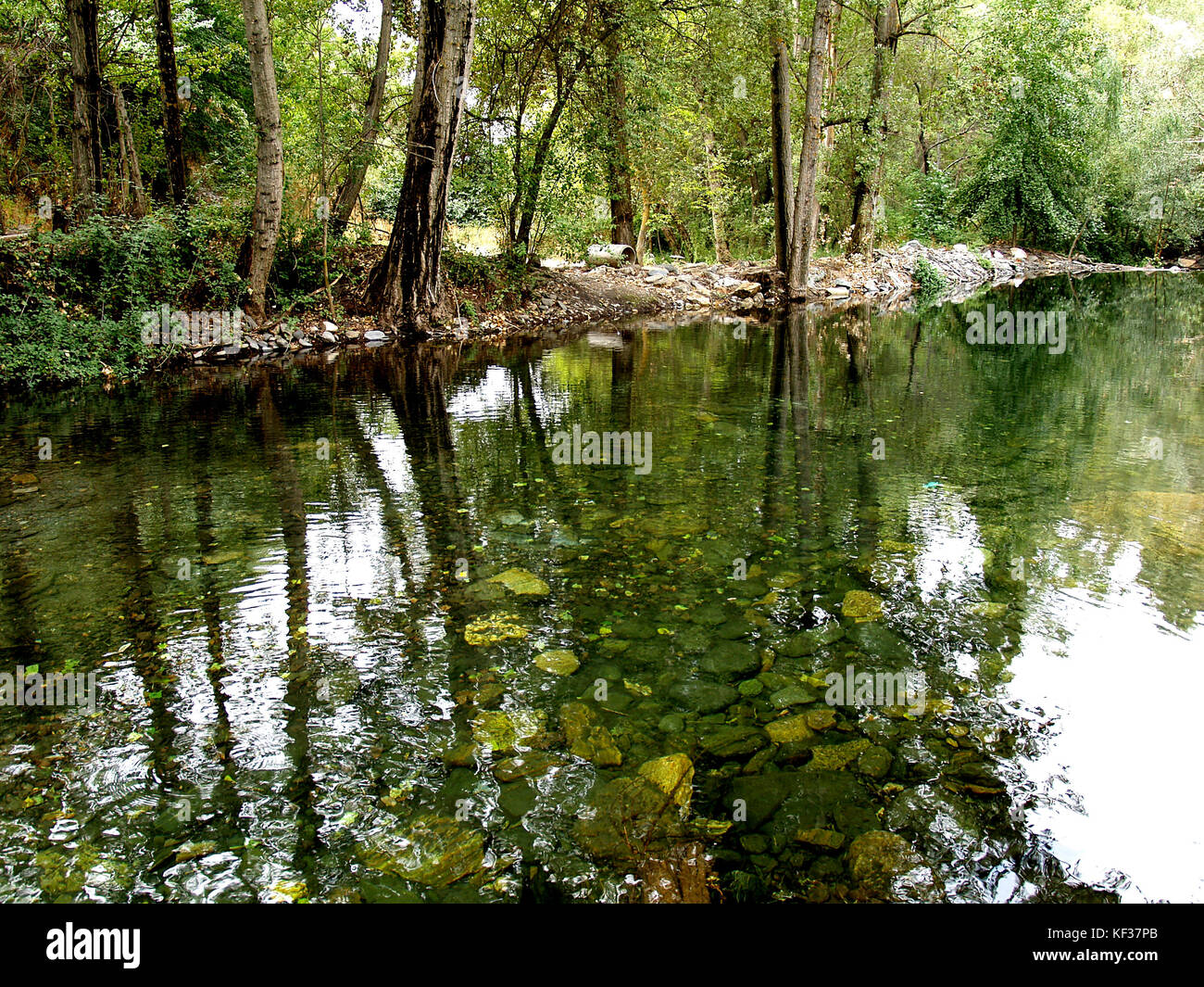 water spring and green environment Stock Photo - Alamy