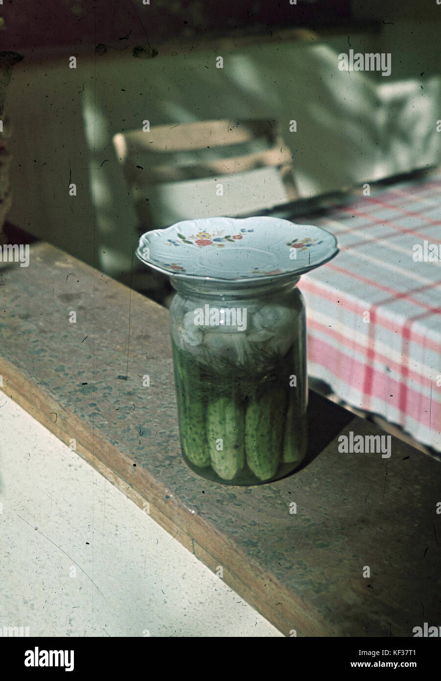 Still life, colorful, gurkin, leavened gherkin 12366 Stock Photo - Alamy