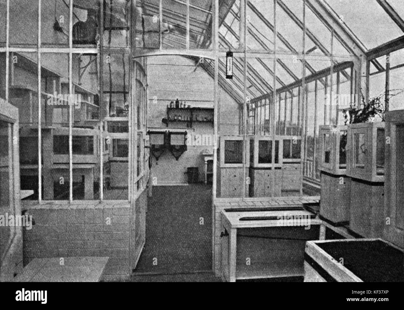 Spolek cukrovarnicky 1925 258 obr3 Stock Photo - Alamy