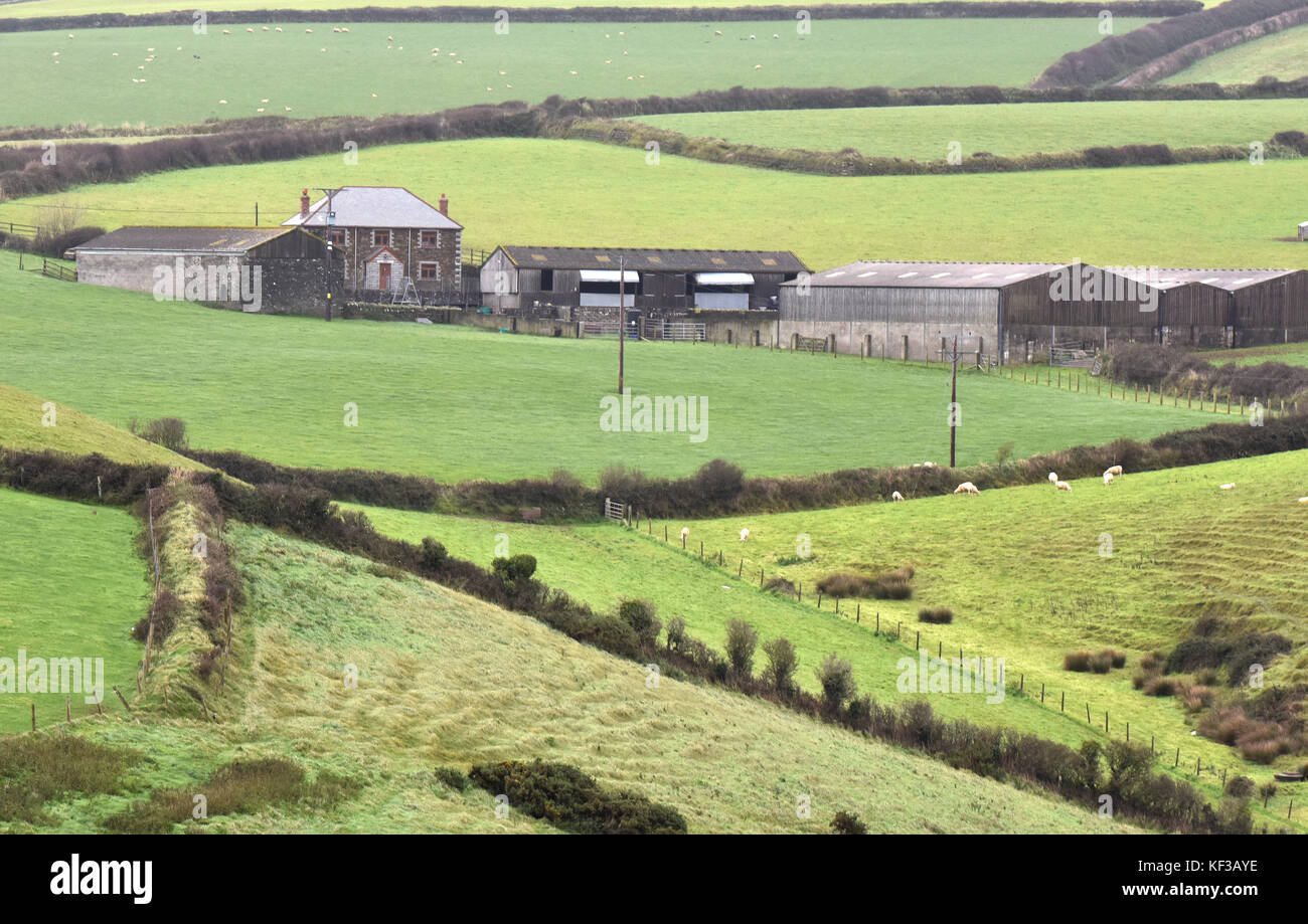a Cornish farmhouse in rolling green fields and meadows in north ...