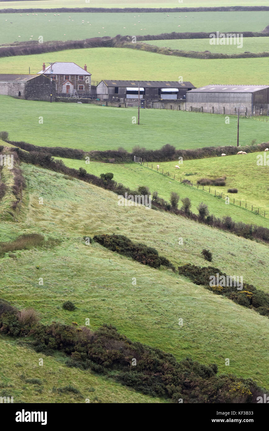 a Cornish farmhouse in rolling green fields and meadows in north ...