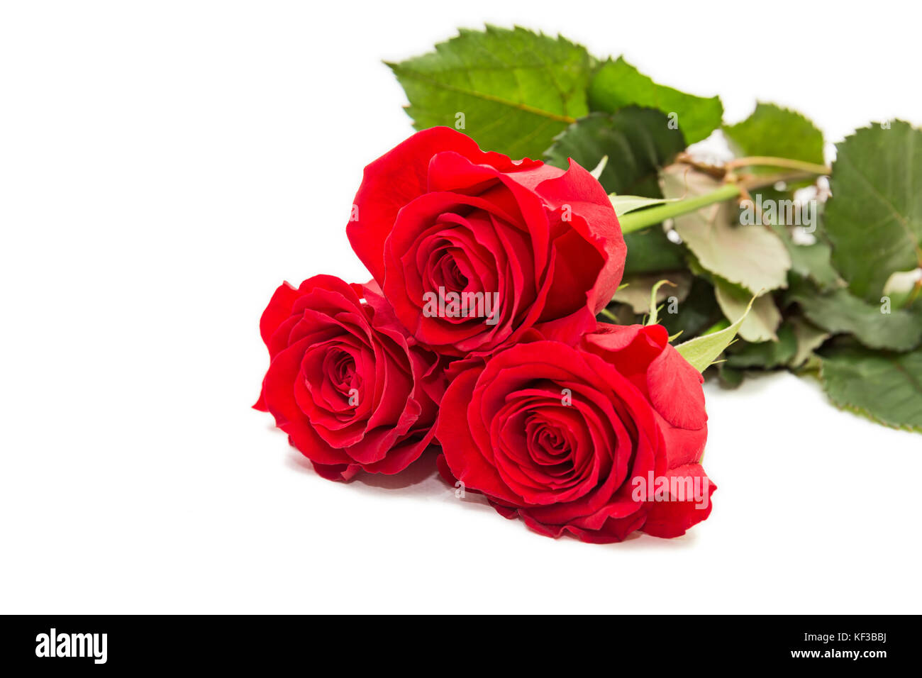 Bouquet of three red roses on a white background Stock Photo - Alamy