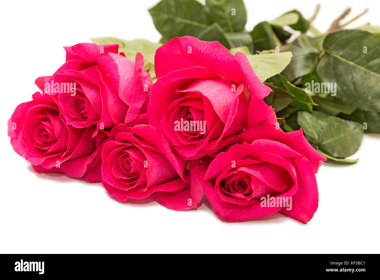 Bouquet of five pink roses on a white background Stock Photo - Alamy