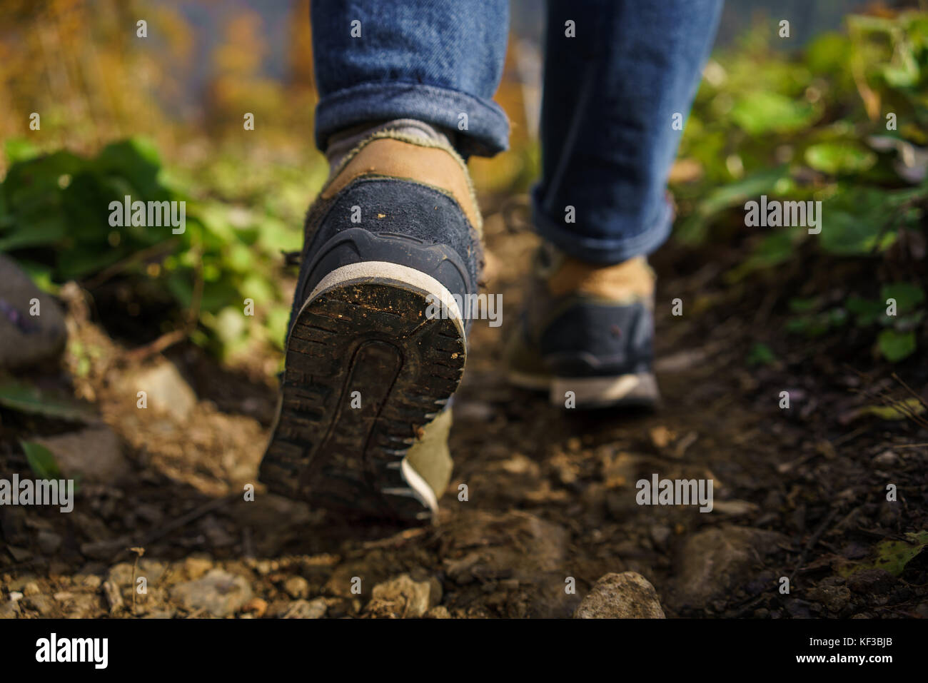 Feet sneakers walking on fall leaves Outdoor with Autumn season nature ...