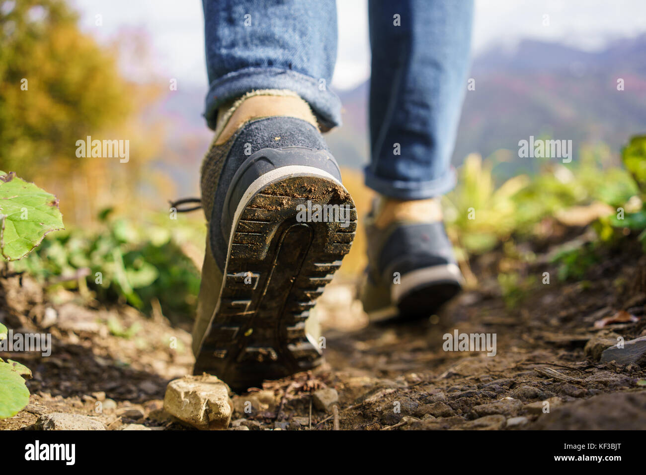Feet sneakers walking on fall leaves Outdoor with Autumn season nature ...
