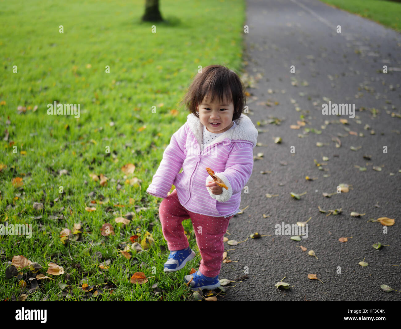 Baby girl playing at Autumn outdoor park Stock Photo - Alamy