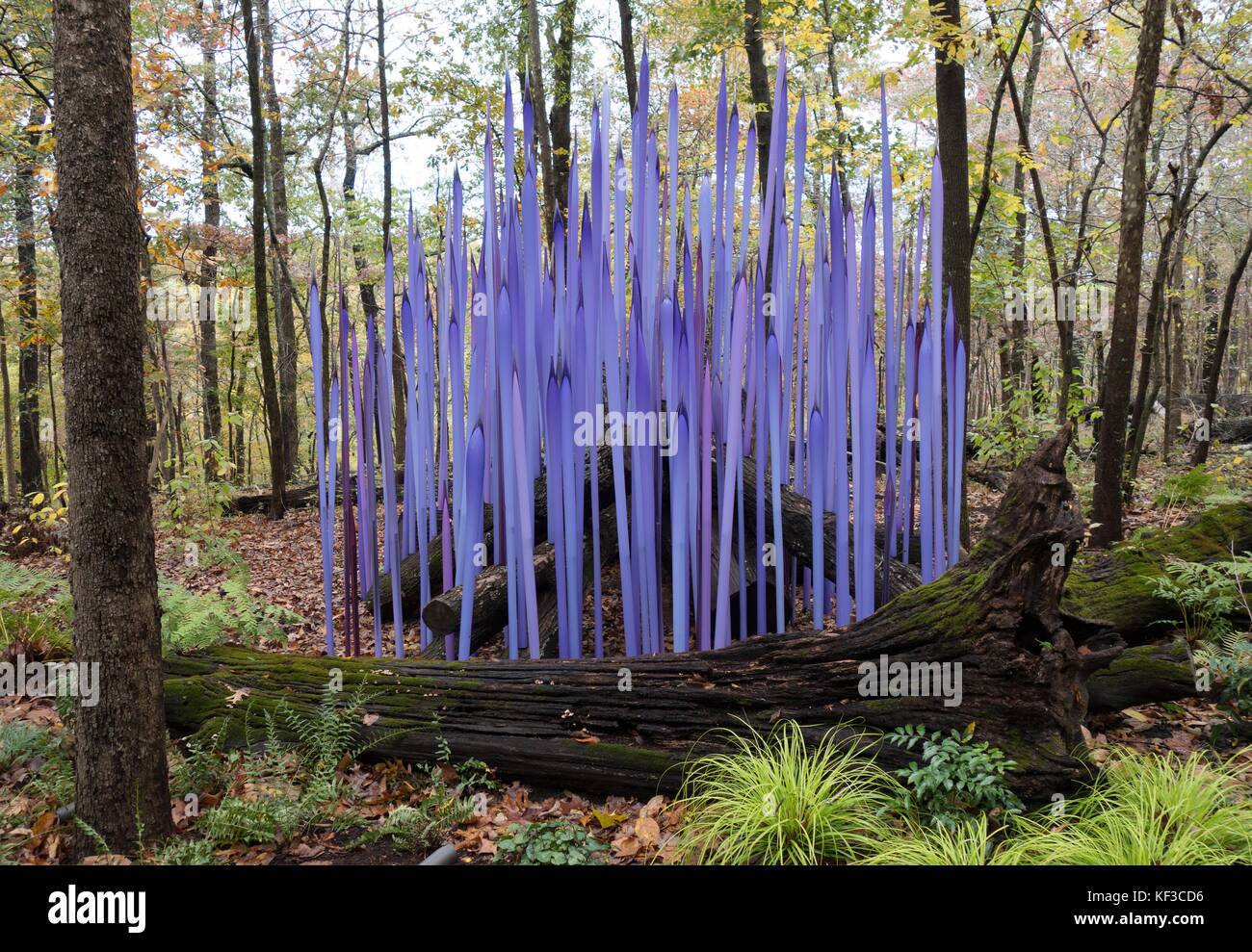 Dale Chihuly Sculpture High Resolution Stock Photography and Images - Alamy