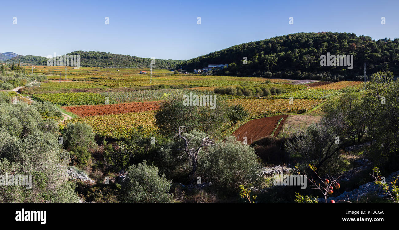 A multiple image panorama of the colourful vineyards of Smokvica seen ...