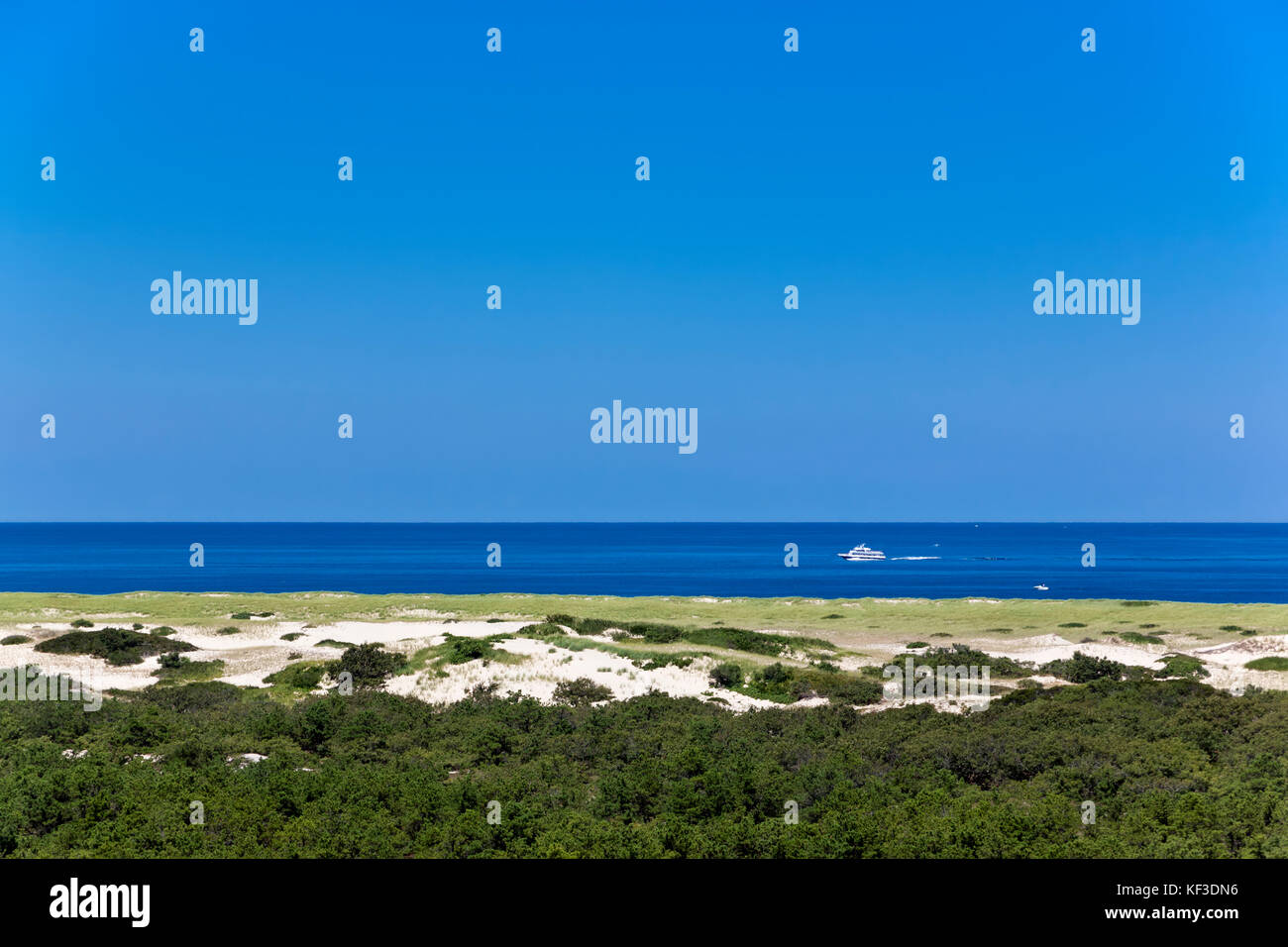 Province Lands at Cape Cod National Seashore. Sand dune vegetation in ...