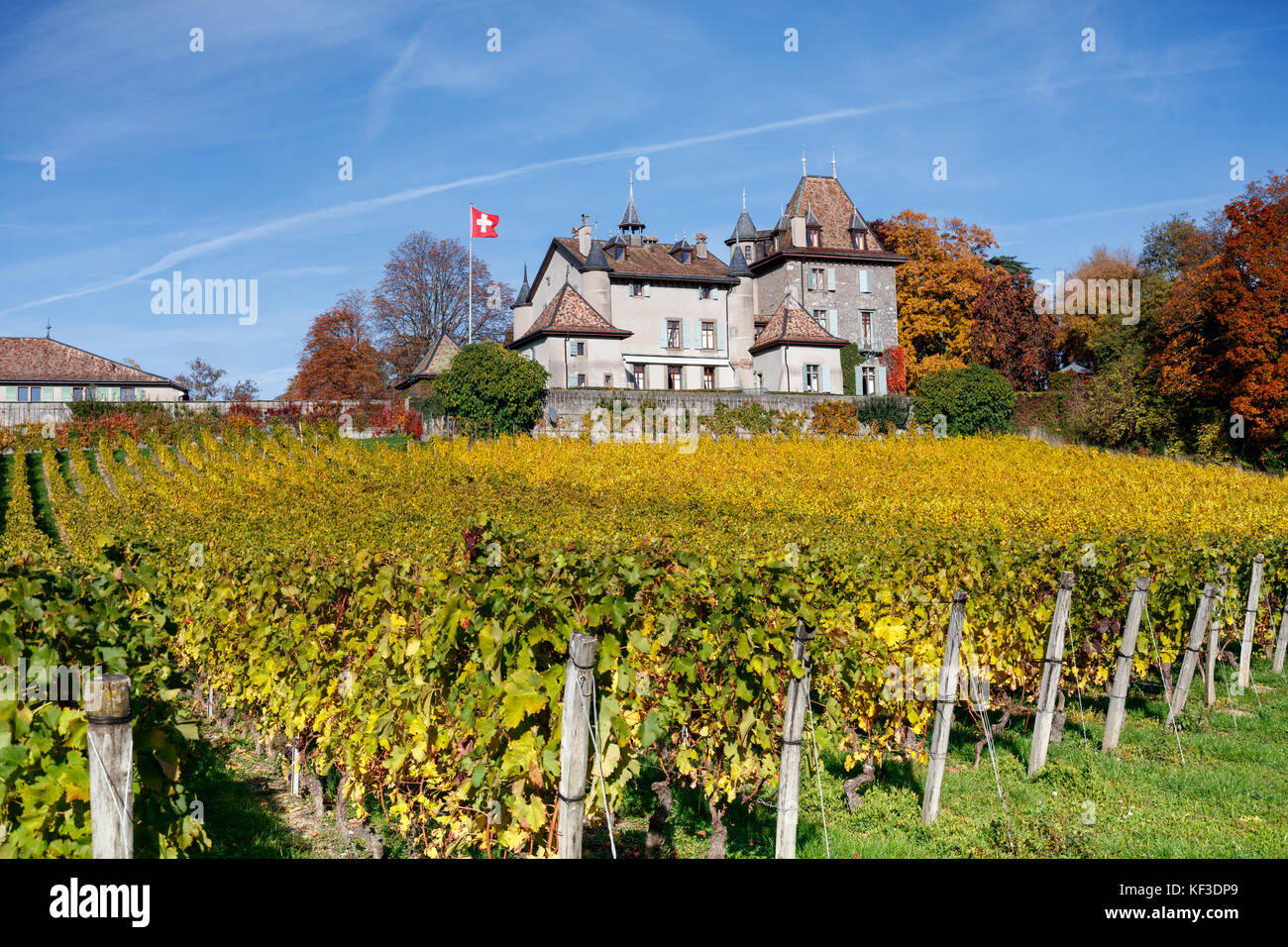 Vineyards and Chateau de Jussy. Geneva countryside. Switzerland Stock ...