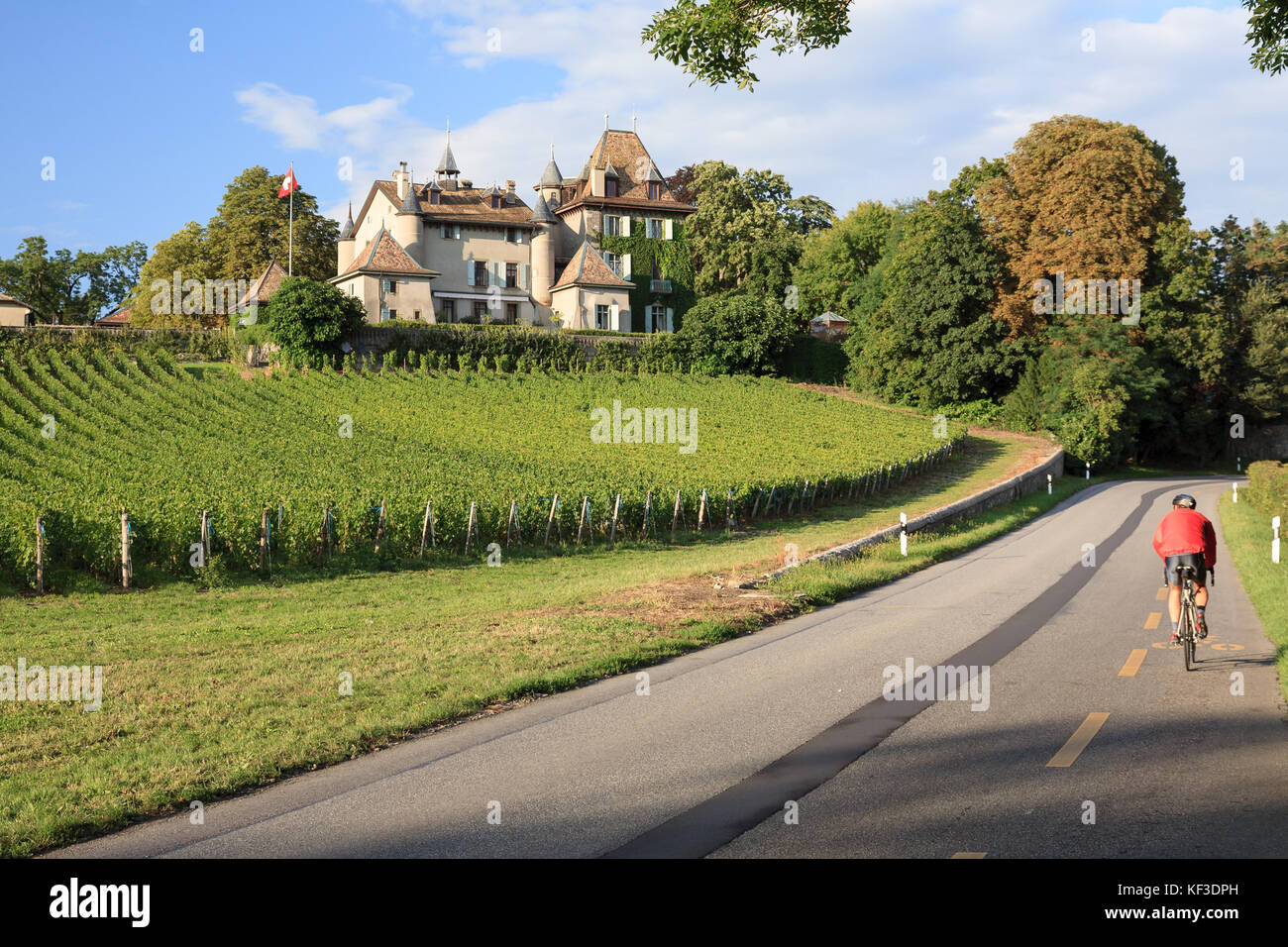 Vineyards and Chateau de Jussy. Geneva countryside. Switzerland Stock ...