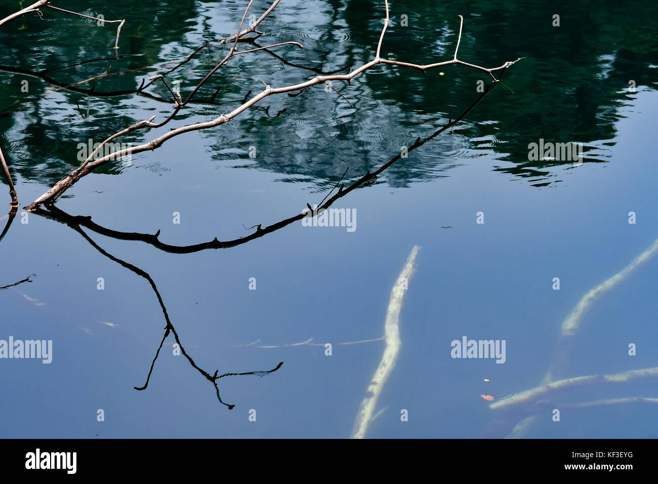 Clean image hi-res stock photography and images - Alamy