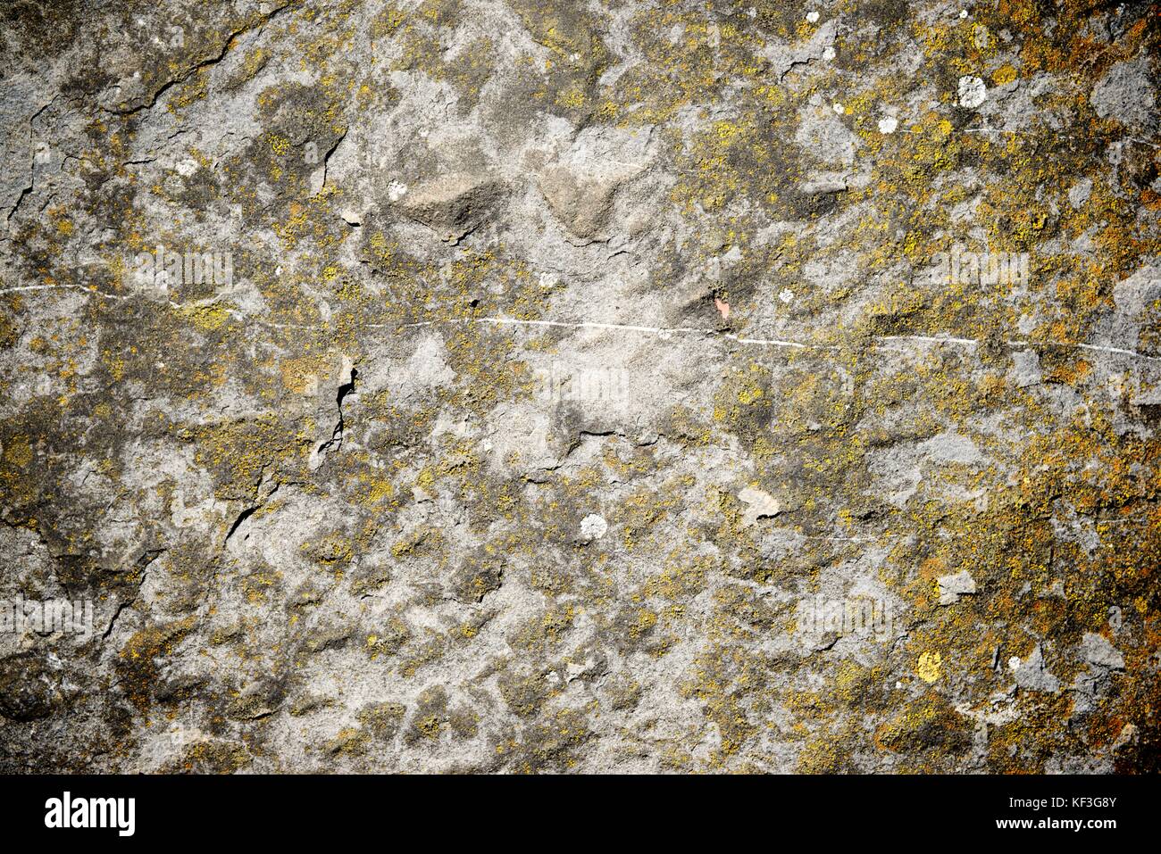Stone background close up at high resolution Stock Photo - Alamy