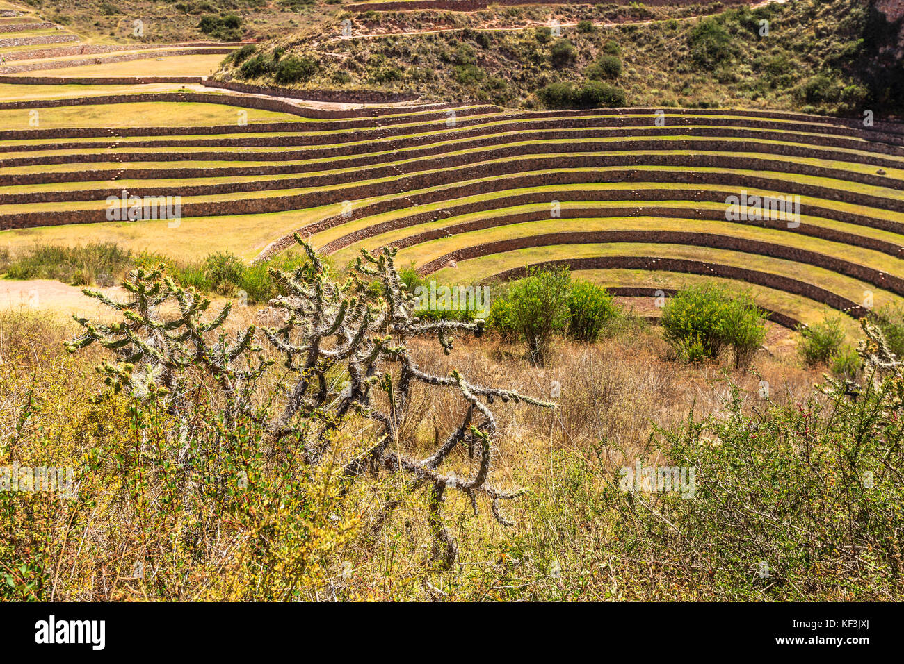 Moray circles, round shaped historic Incan agriciltural site on the ...