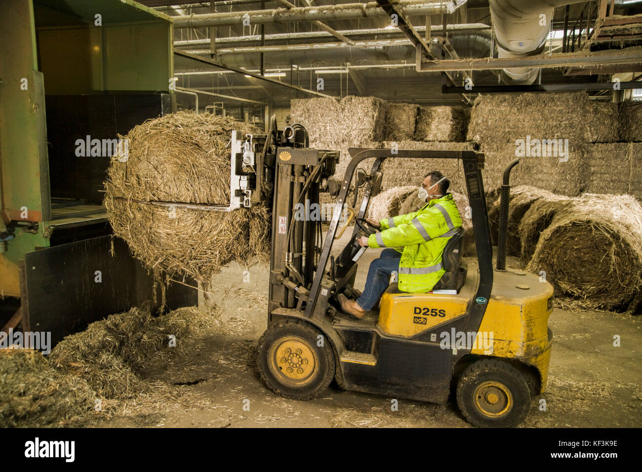 Hemp fibre straw processing hi-res stock photography and images - Alamy