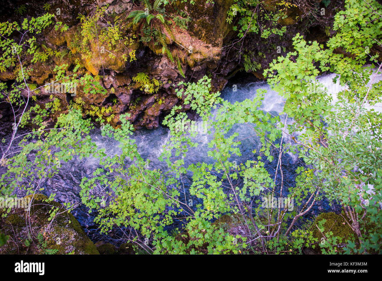 Rogue river gorge in the Crater lake National Park, Oregon, USA Stock ...