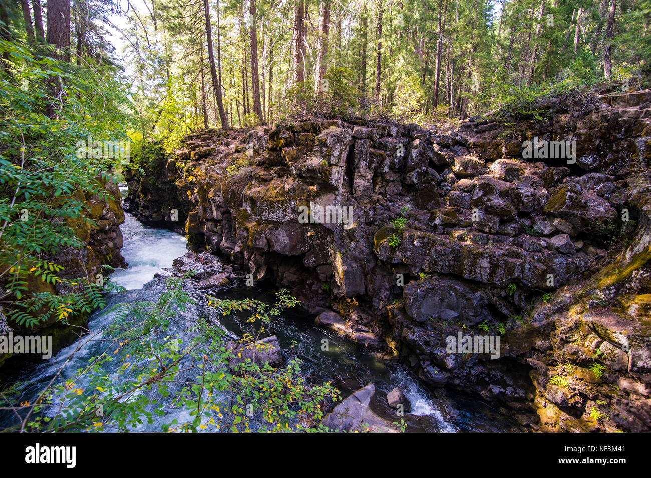 Rogue river gorge in the Crater lake National Park, Oregon, USA Stock ...