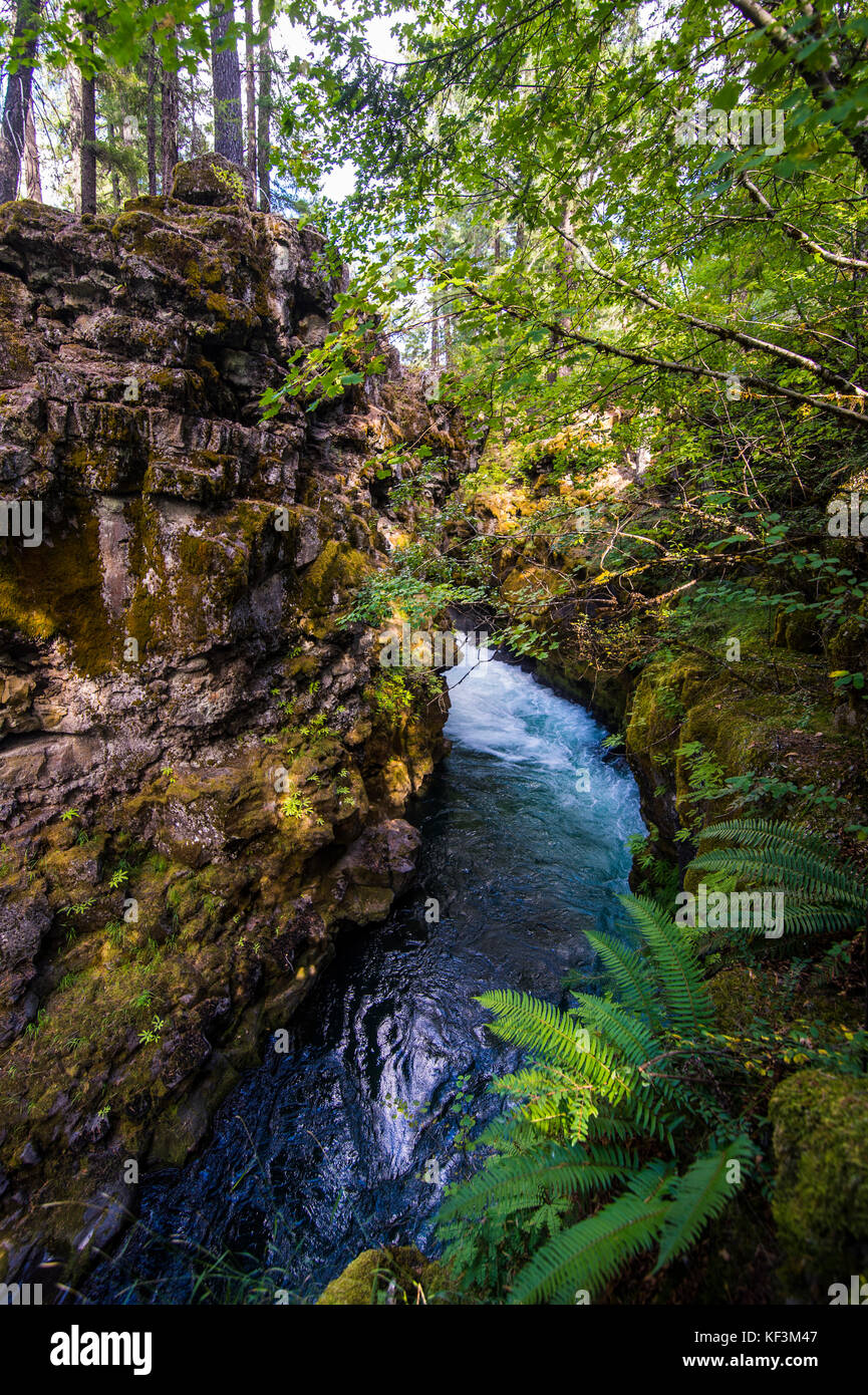 Rogue river gorge in the Crater lake National Park, Oregon, USA Stock ...