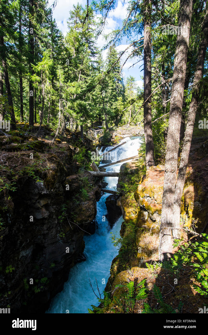 Rogue river gorge in the Crater lake National Park, Oregon, USA Stock Photo - Alamy