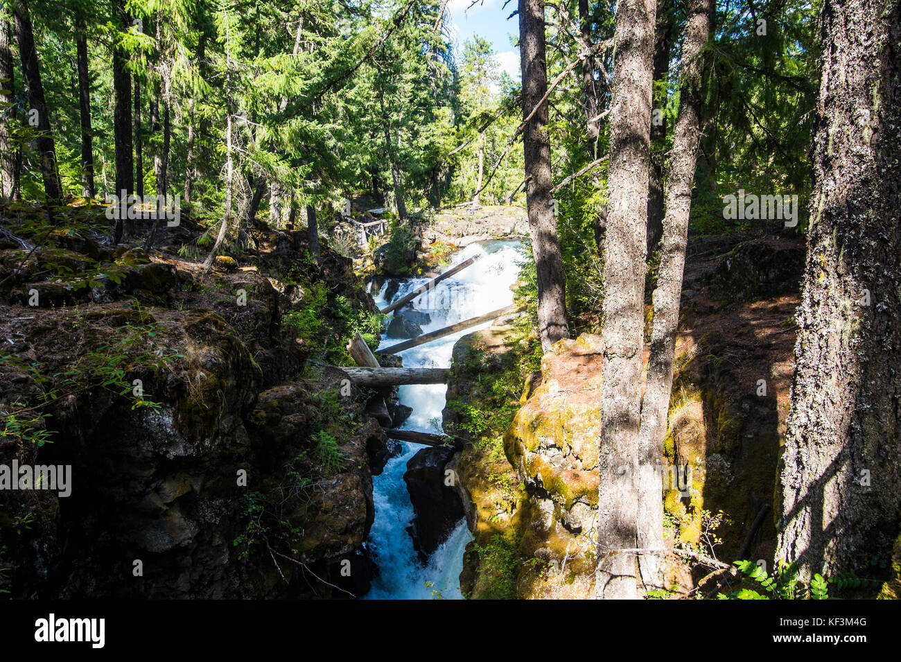 Rogue river gorge in the Crater lake National Park, Oregon, USA Stock ...