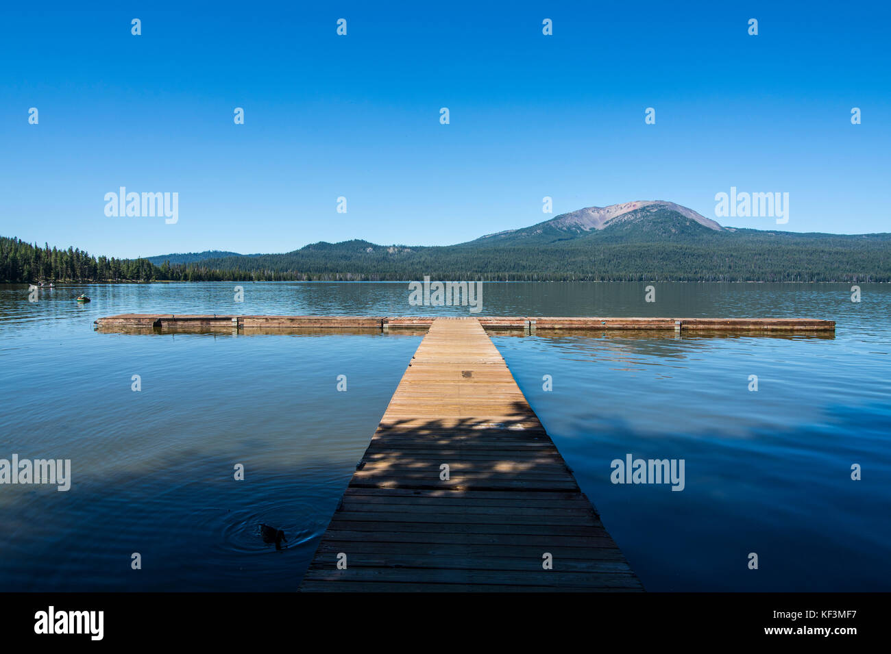 Wooden pier on the Diamond lake on the edge of the Crater lake National ...