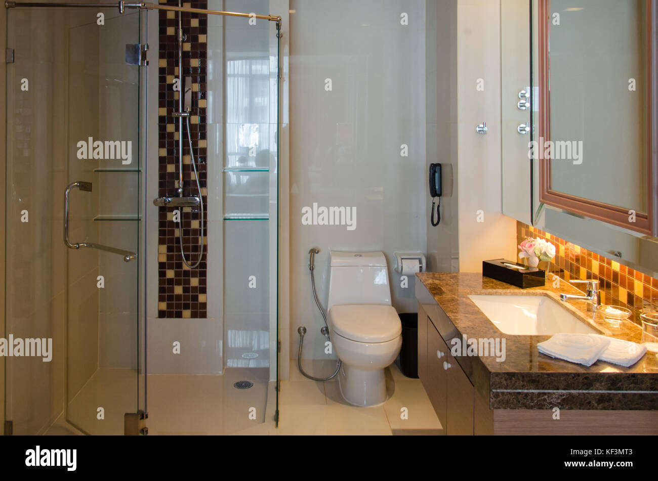 Modern interior bathroom shower Stock Photo - Alamy