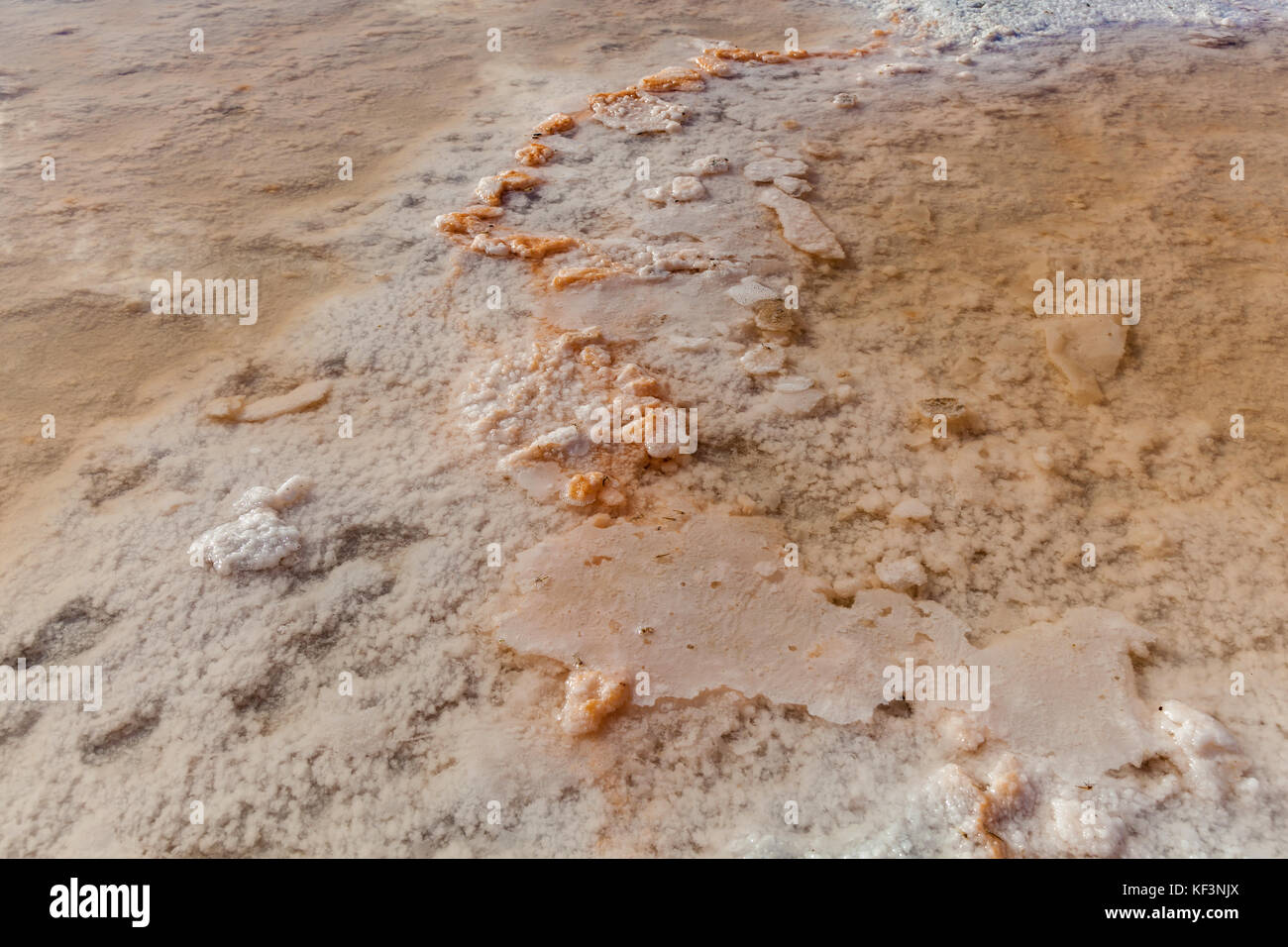 salt crystals on dried clay Stock Photo - Alamy