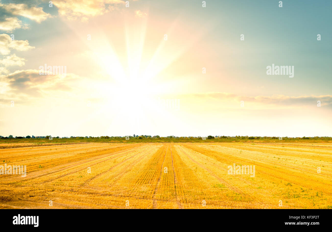 Sunrise over fields and distant woods Stock Photo - Alamy