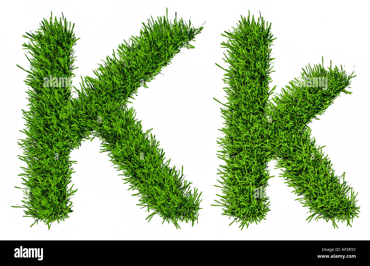 Letter of grass alphabet. 3d illustration Stock Photo - Alamy
