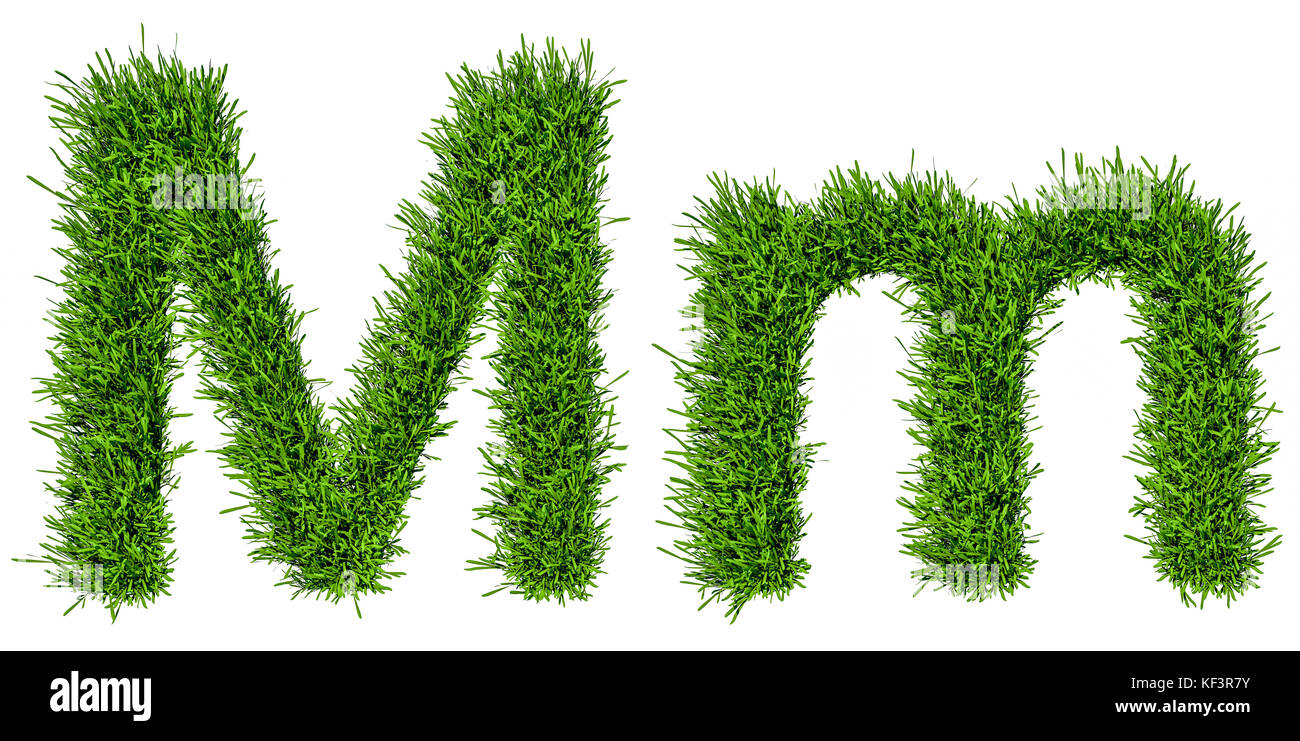Letter of grass alphabet. 3d illustration Stock Photo - Alamy