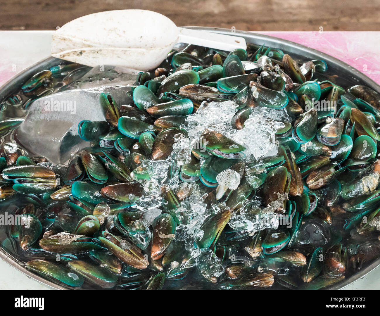 Fresh mussels pile with the plastic scoop in the metal tray of the Thai ...
