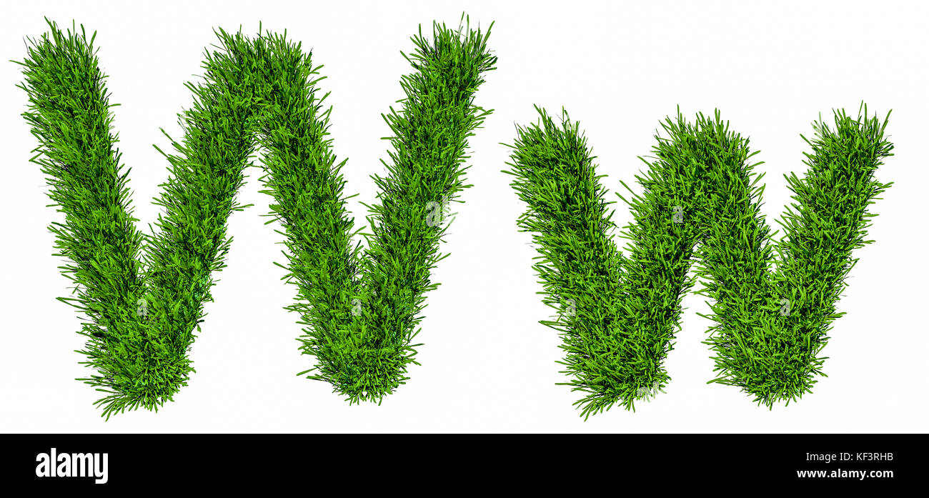 Letter of grass alphabet. 3d illustration Stock Photo - Alamy