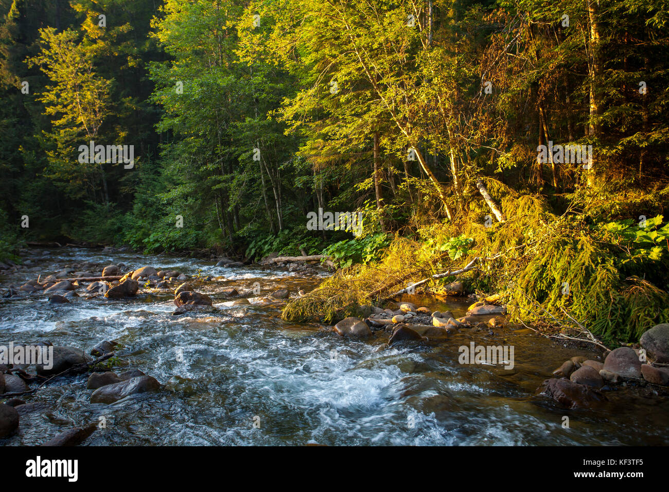 Beautiful river water stream landscape hi-res stock photography and ...