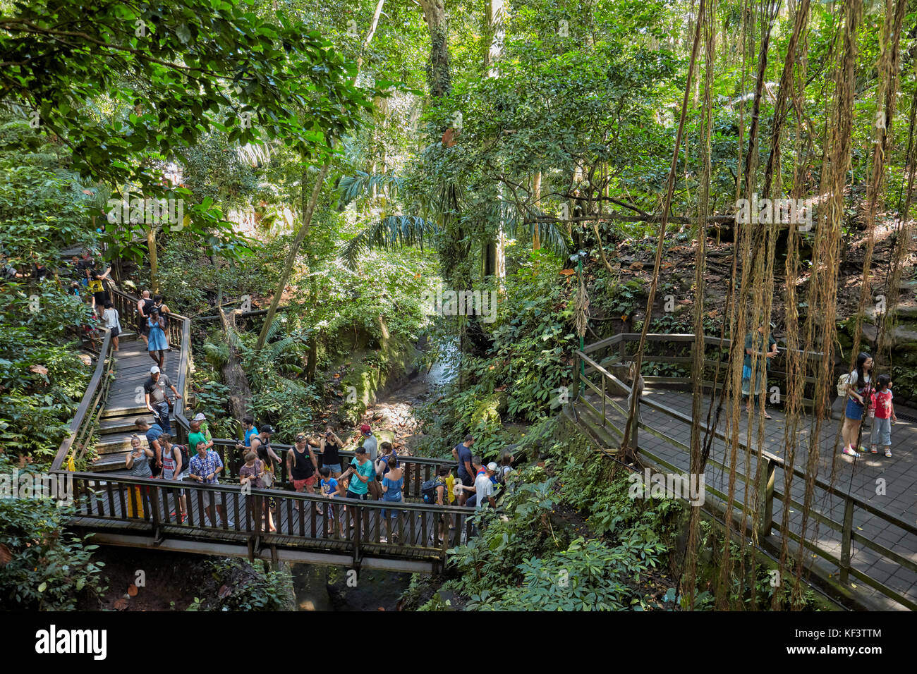 The Bridge Monkey High Resolution Stock Photography and Images - Alamy