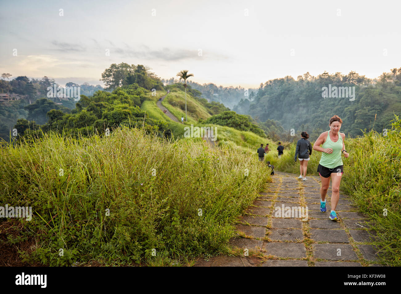 Ubud campuhan ridge walk hi-res stock photography and images - Alamy