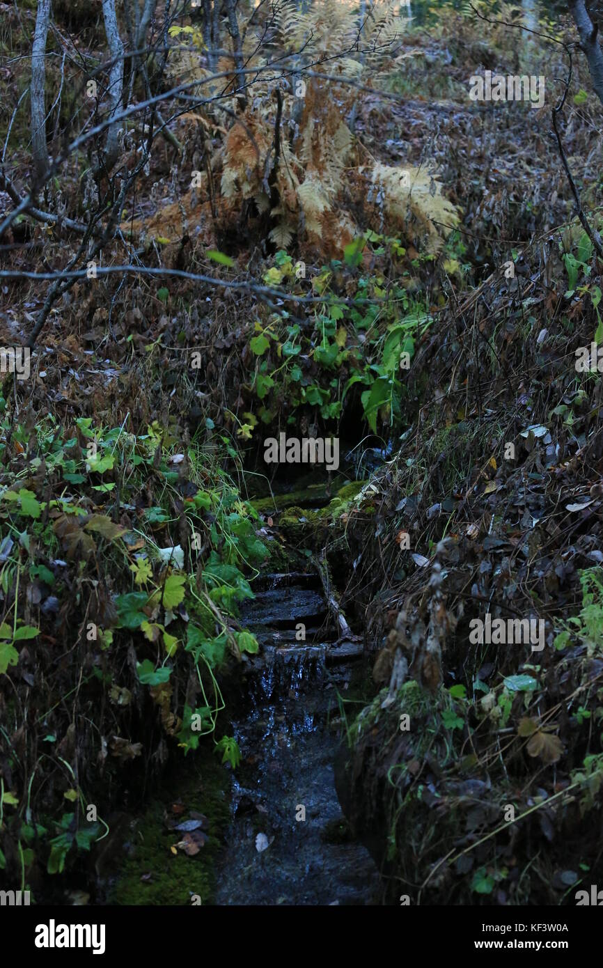 Scandinavian stream hi-res stock photography and images - Alamy