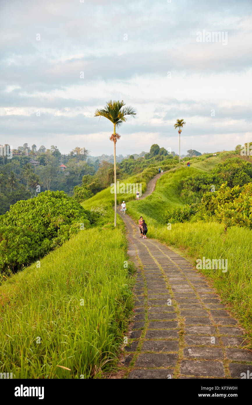 Campuhan Ridge Walk. Ubud, Bali, Indonesia Stock Photo - Alamy