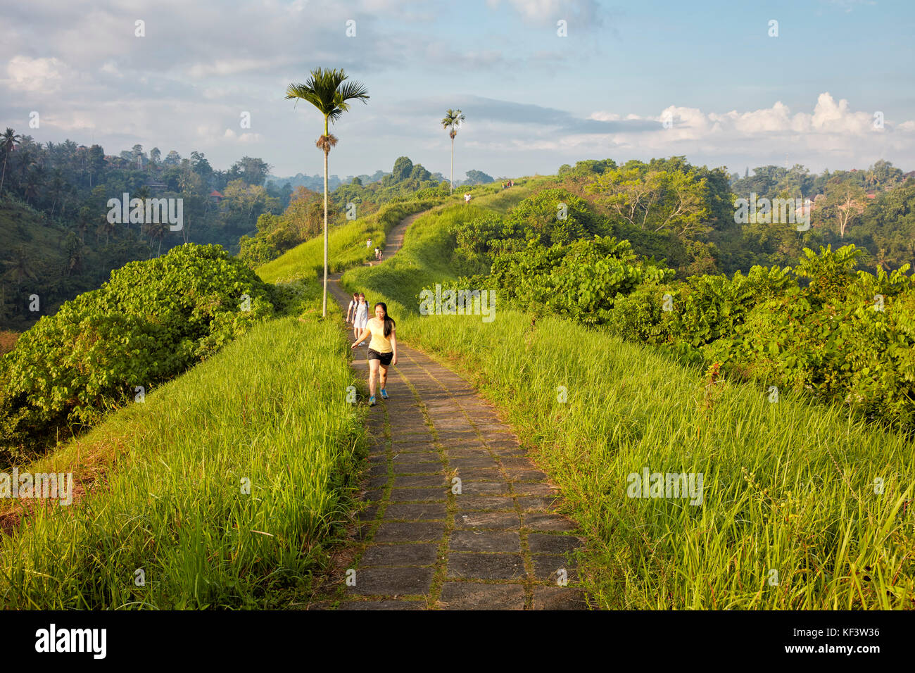 People walking on Campuhan Ridge Walk. Ubud, Bali, Indonesia Stock ...