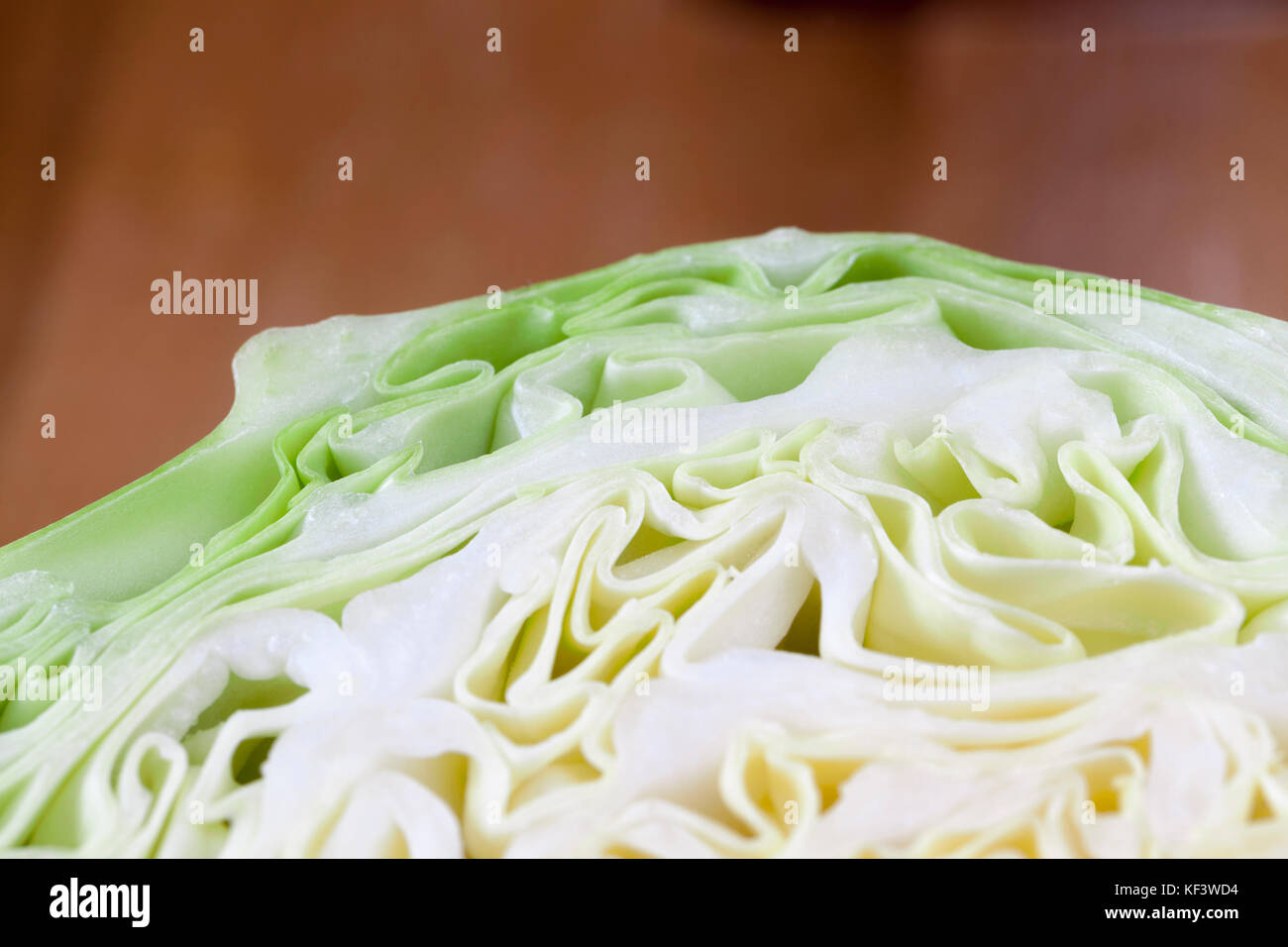 shredded fresh cabbage Stock Photo - Alamy