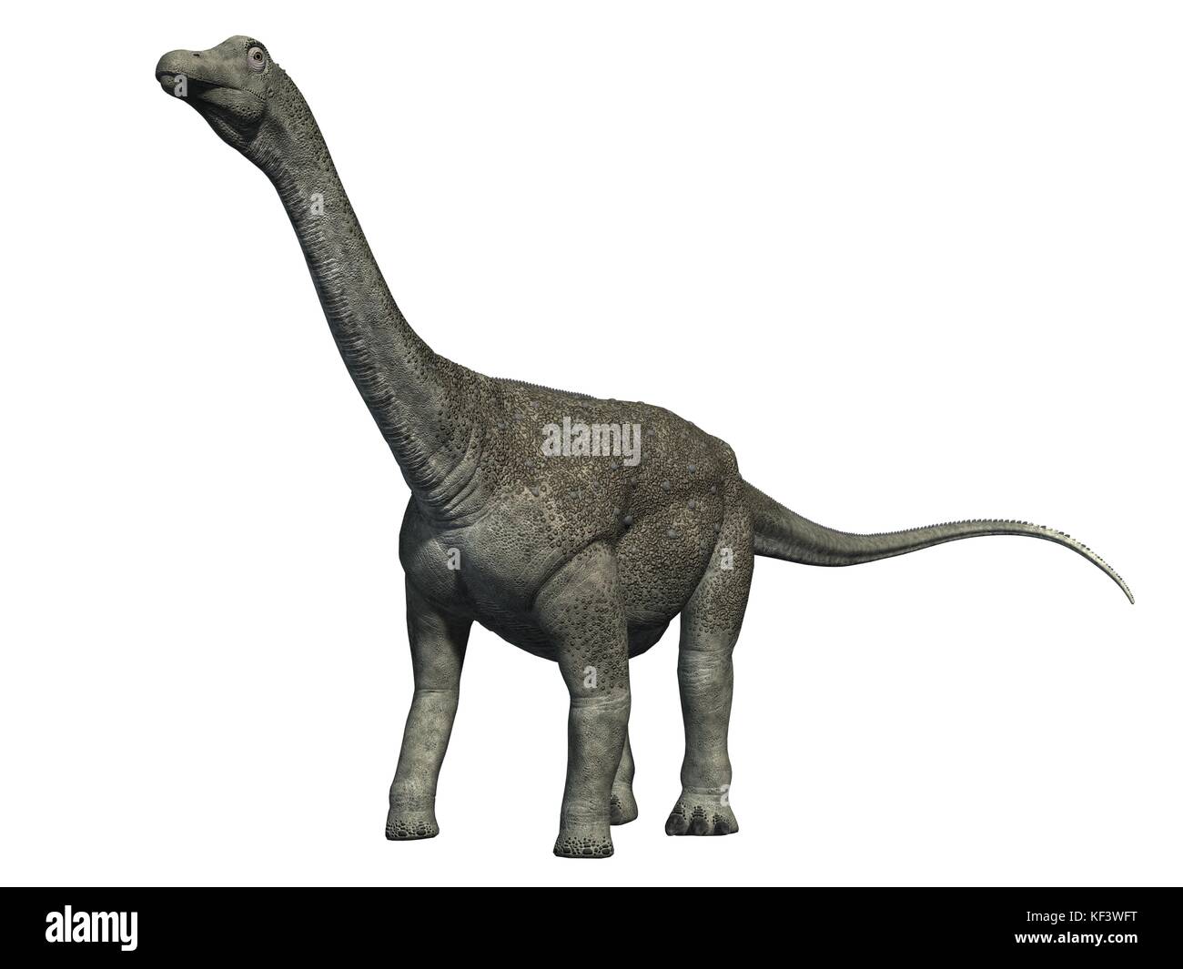 original 3d render of dinosaur Stock Photo - Alamy