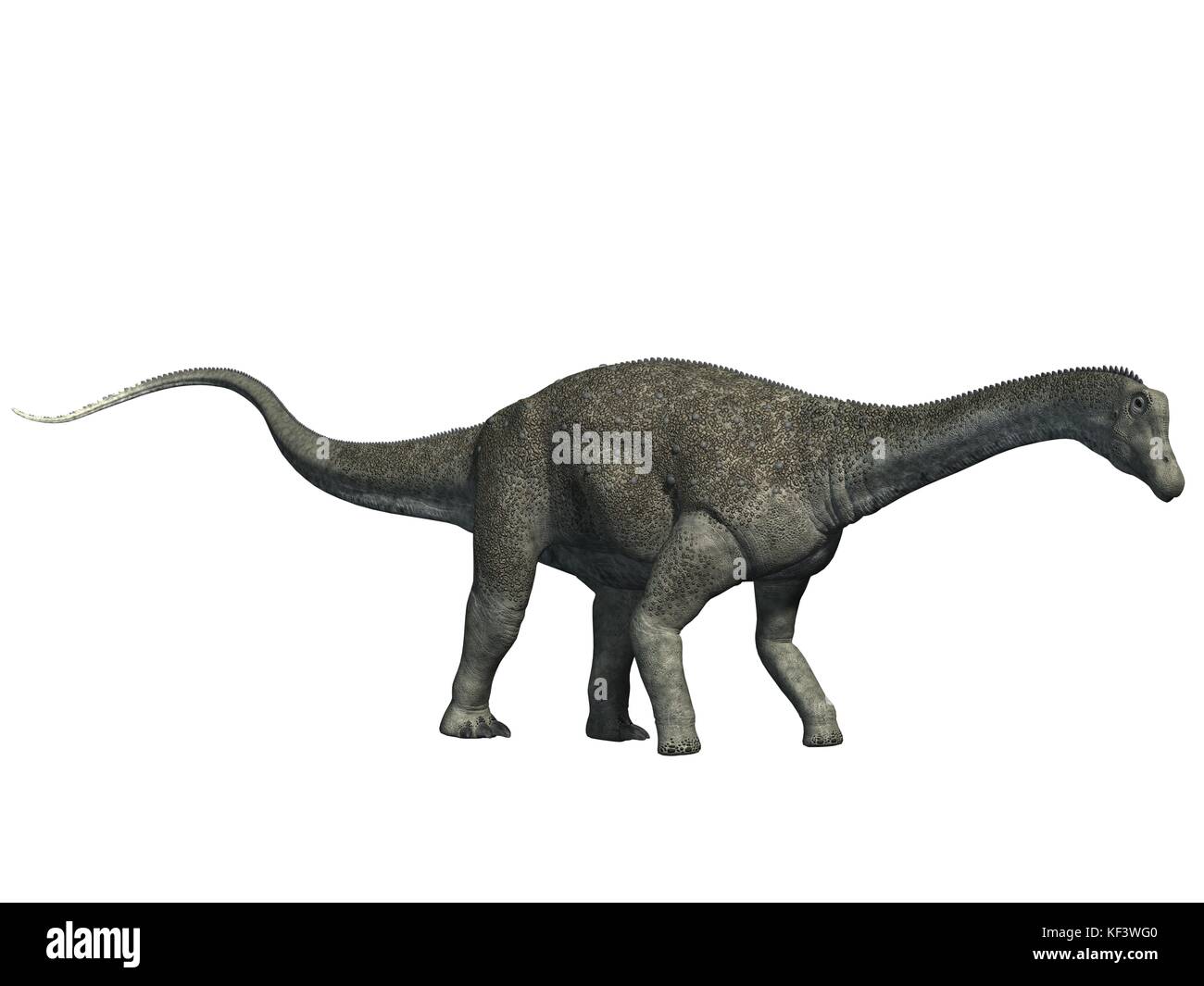 original 3d render of dinosaur Stock Photo - Alamy